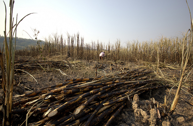 Fundación de los Estados Unidos timeline | Timetoast timelines