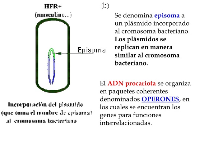 Historia de la Biología Molecular timeline | Timetoast timelines