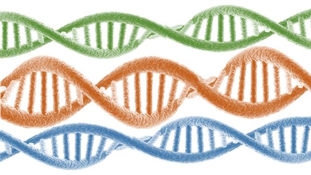 Nacimiento y evolución de la ciencia genética timeline | Timetoast ...