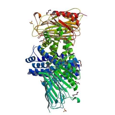 Historia de la enzimología. timeline | Timetoast timelines