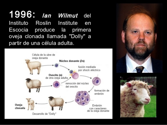 HISTORIA DE LA BIOLOGIA MOLECULAR timeline | Timetoast timelines