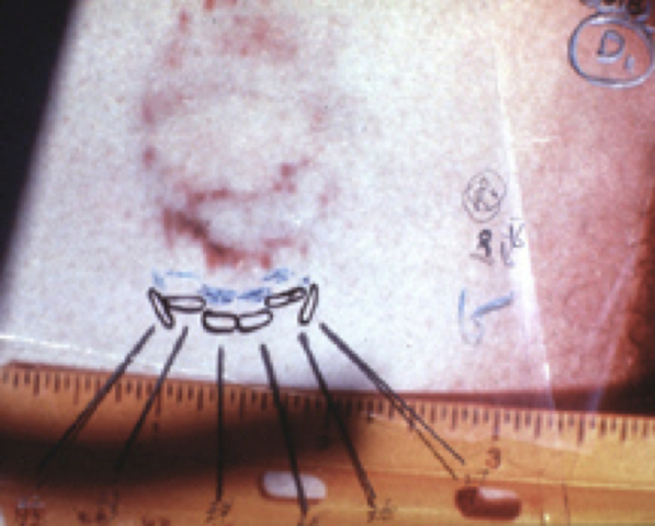 The past of forensic evidence timeline | Timetoast timelines