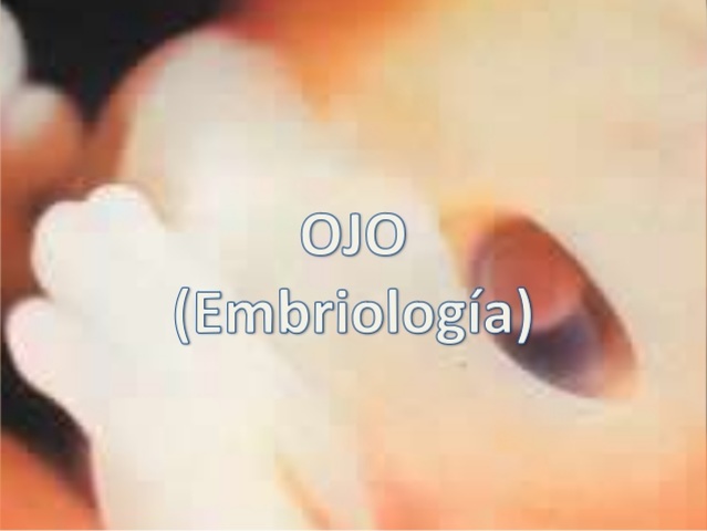 SISTEMA VISUAL - DESARROLLO EMBRIONARIO timeline | Timetoast timelines