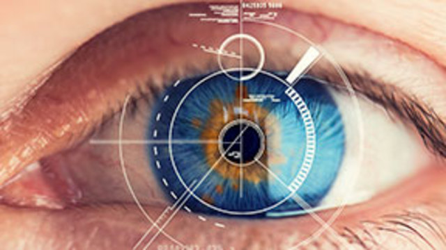 EMBRIOLOGÍA DEL OJO. timeline | Timetoast timelines