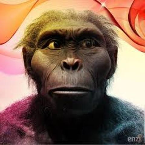 La evolución del ser humano timeline | Timetoast timelines