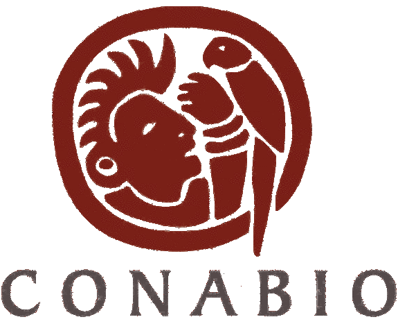 Legislación ambiental: Desarrollo Turístico en México timeline ...
