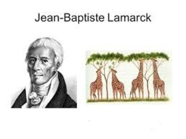 Linea de tiempo sobre la célula "unidad anatómica, fisiológica y de ...