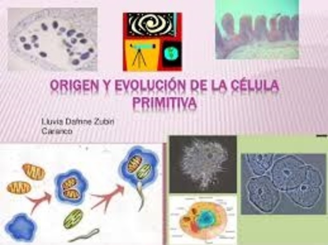Linea de tiempo sobre la célula "unidad anatómica, fisiológica y de ...