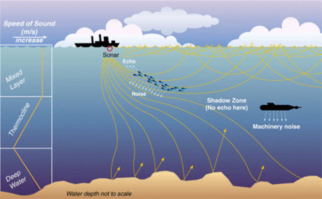 Historia de la Oceanografía timeline | Timetoast timelines