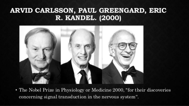 historia de la neurociencia timeline | Timetoast timelines