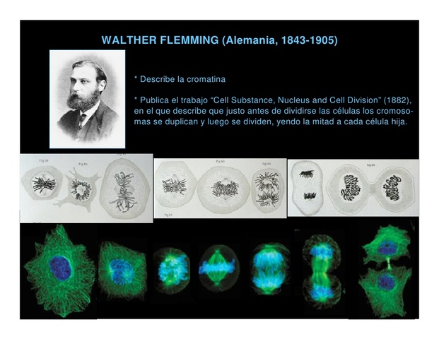 EL GRANDIOSO MUNDO DE LA CÉLULA timeline | Timetoast timelines