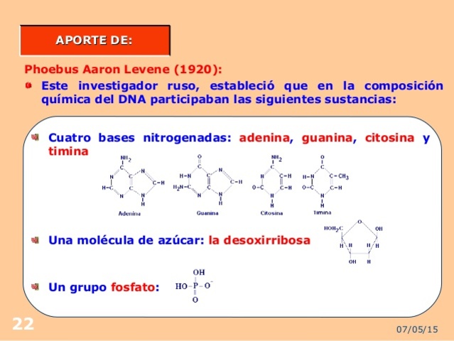 Historia de la biologia molecular timeline | Timetoast timelines