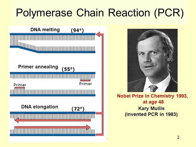 Historia de la biologia molecular timeline | Timetoast timelines