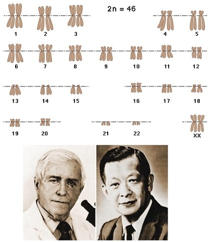 Historia de la biología molecular timeline | Timetoast timelines