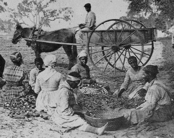 Kinstin's colonial Timeline | Timetoast timelines