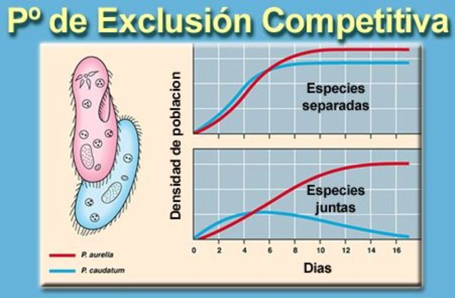 precursores de la ecología timeline | Timetoast timelines