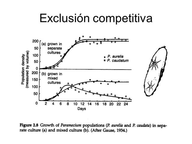 Historia de la Ecología timeline | Timetoast timelines