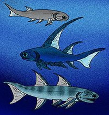 Origen de la vida animal timeline | Timetoast timelines