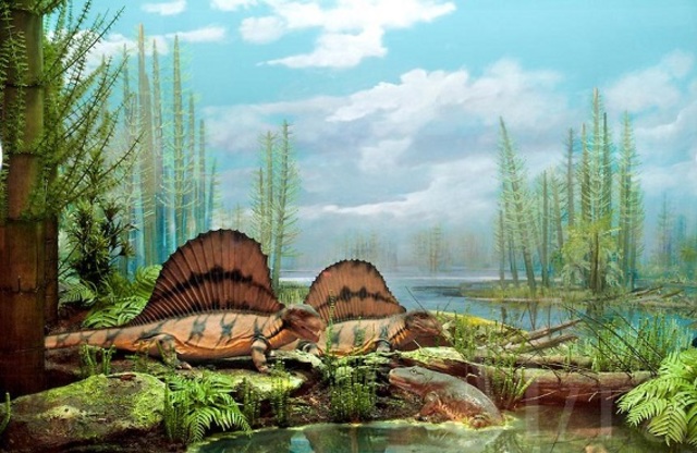 Surgimiento de la Vida timeline | Timetoast timelines