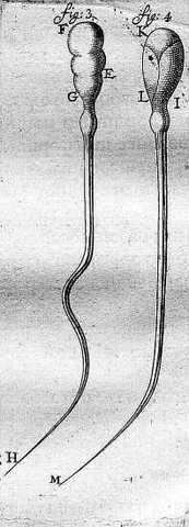 La célula: Teoría celular timeline | Timetoast timelines