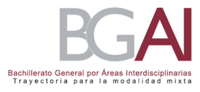 Responsabilidades de los Asesores de BGAI timeline | Timetoast timelines