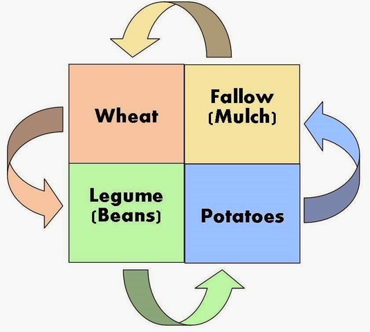 Agricultural Revolution (HUMS) timeline | Timetoast timelines