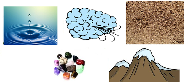 LOS SERES VIVOS "Conozco mi entorno" timeline | Timetoast timelines