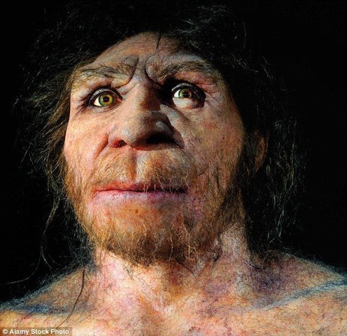 La evolución biológica timeline | Timetoast timelines
