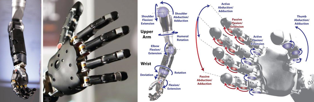 The History and Evolution of Prosthetics timeline | Timetoast timelines