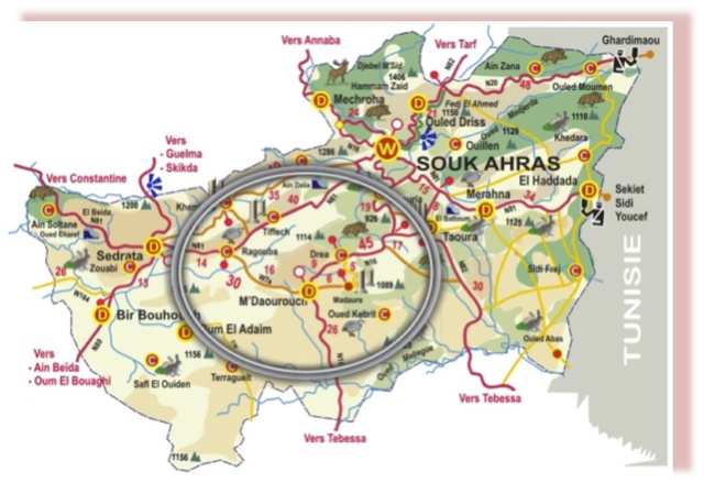 San Agustín timeline | Timetoast timelines