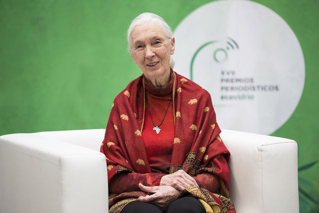 Jane Goodall timeline | Timetoast timelines