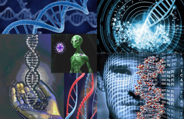 Proyecto Genoma Humano timeline | Timetoast timelines