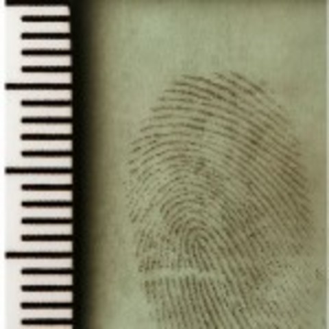 Contributions to Forensics timeline | Timetoast timelines