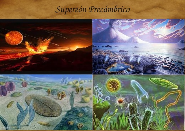 Tiempos Geológicos timeline | Timetoast timelines