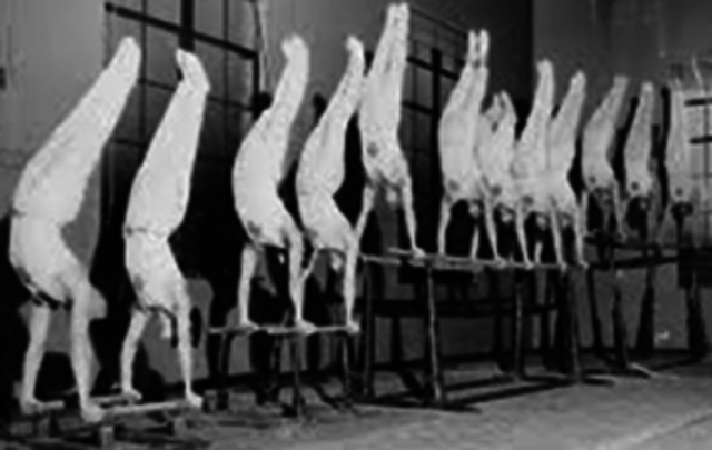 Historia de la Gimnasia timeline | Timetoast timelines