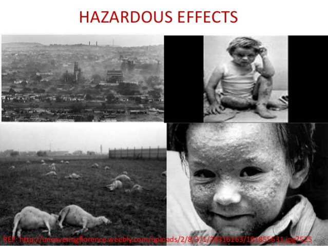 ENVIRONMENTAL DISASTERS timeline | Timetoast timelines