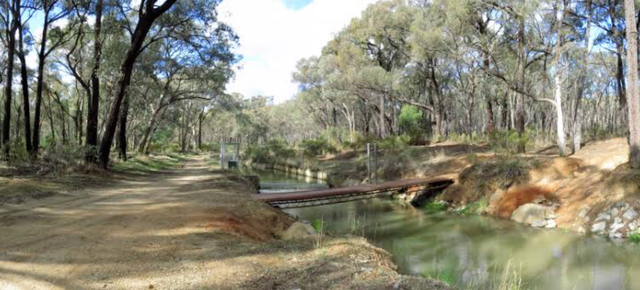 Gold Rush Timeline Australia 1800’s-1900’s | Timetoast timelines