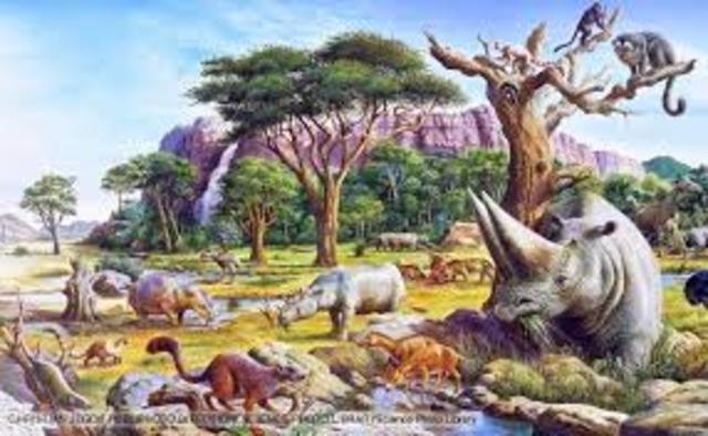Eras Geologicas timeline | Timetoast timelines