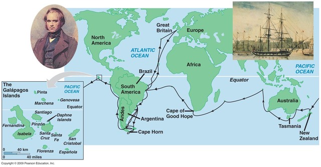 Charles Darwin timeline | Timetoast timelines