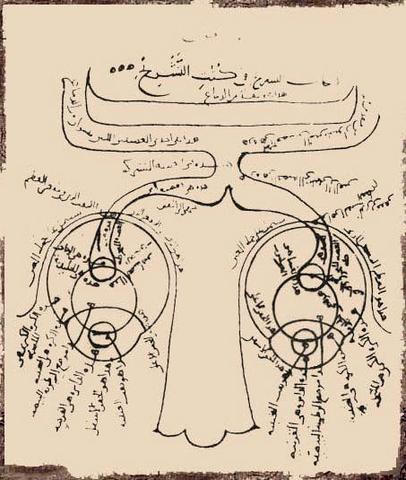 The contributions of Alhazen timeline | Timetoast timelines
