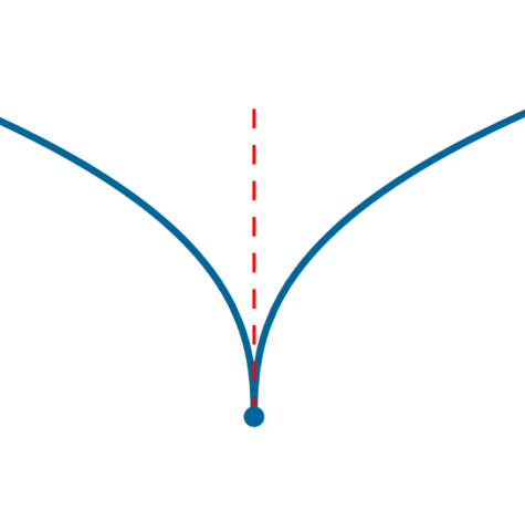 Study of a function timeline | Timetoast timelines