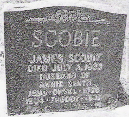 Eureka Stockade timeline | Timetoast timelines