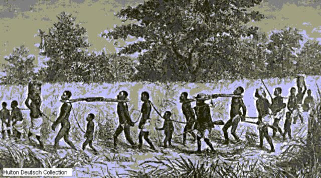 Afrodescendientes timeline | Timetoast timelines