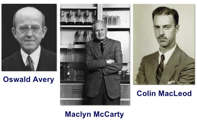 Historia de la Biología molecular timeline | Timetoast timelines