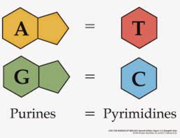 BIOLOGÍA MOLECULAR timeline | Timetoast timelines