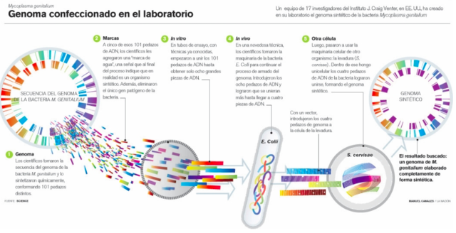 HISTORIA DE LA BIOLOGÍA MOLECULAR timeline | Timetoast timelines