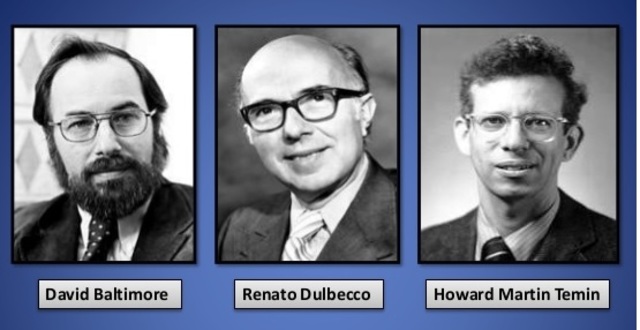 Historia de la Biología Molecular timeline | Timetoast timelines