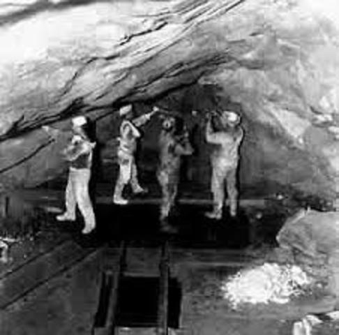 gold rush timeline | Timetoast timelines