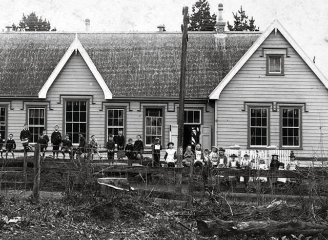 New Zealand Education History timeline | Timetoast timelines