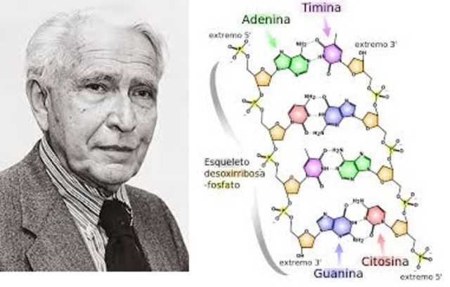 HISTORIA DE LA BIOLOGÍA timeline | Timetoast timelines